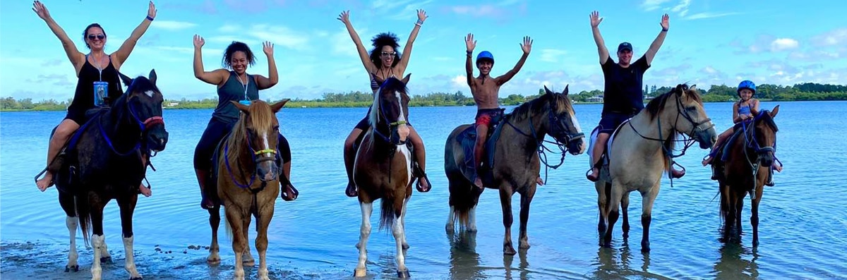 Florida Beach Horses Offers Horseback Riding in Bradenton, FL 34209
